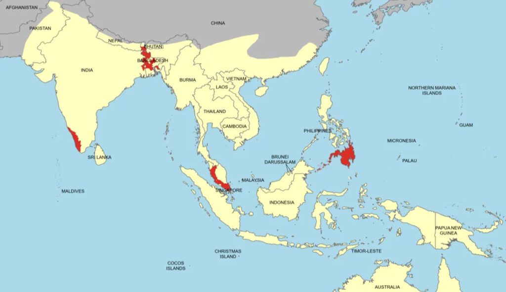 Five Nipah Virus Cases Confirmed in West Bengal, Indian Officials Say